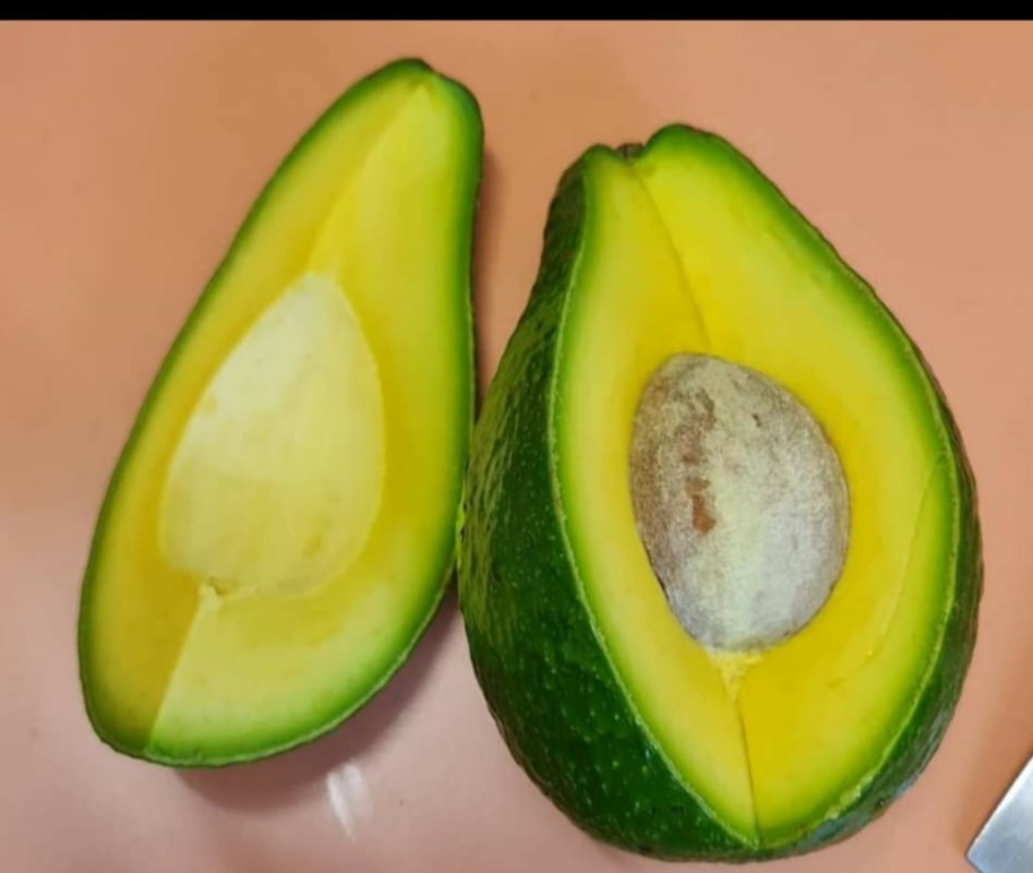 AGUACATE Dominicano Precio por Ud. ca. 450gr - Variedades Latinas